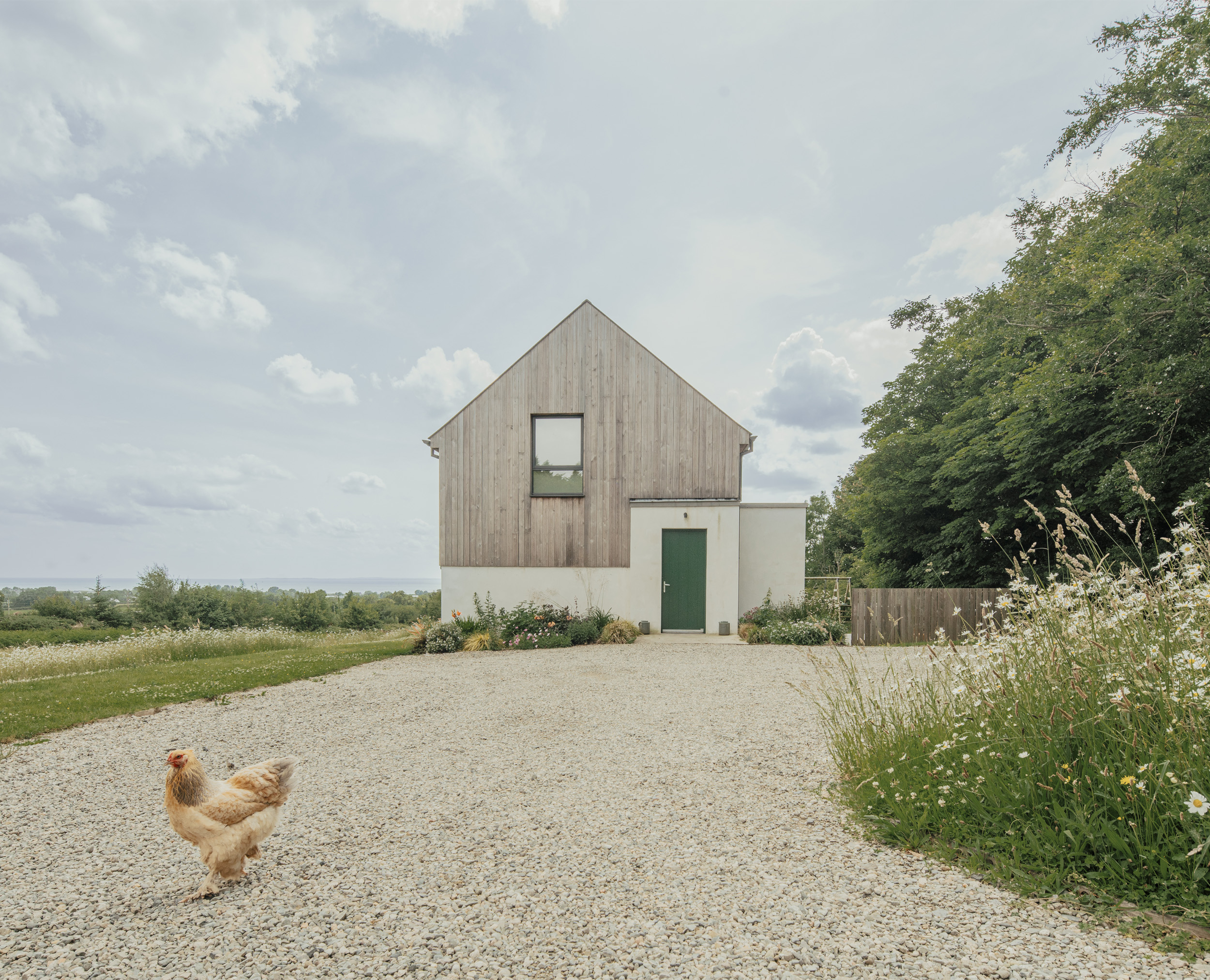 House on a Hill - Emmet Holland — Architect
