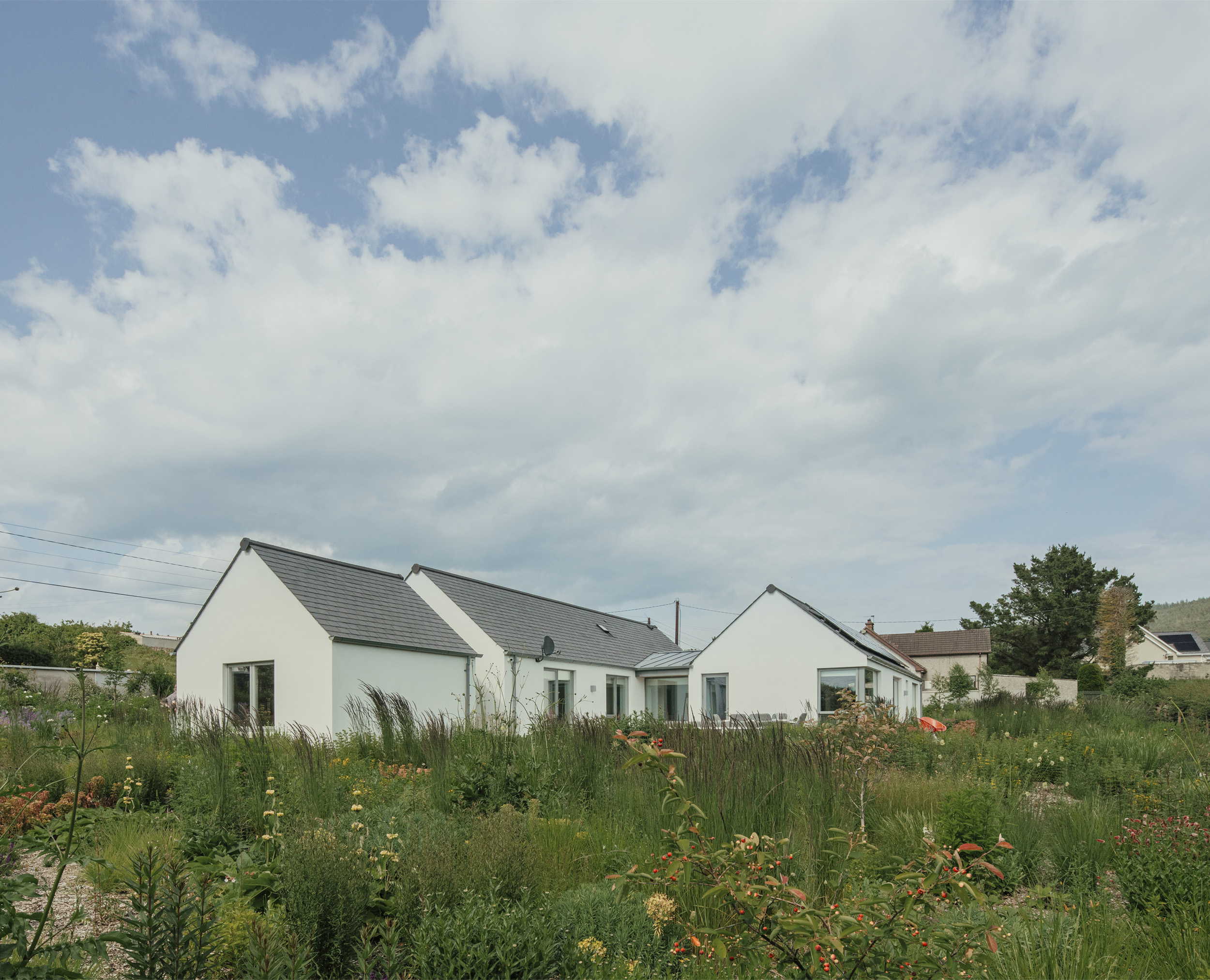 House in a Hollow - Emmet Holland — Architect